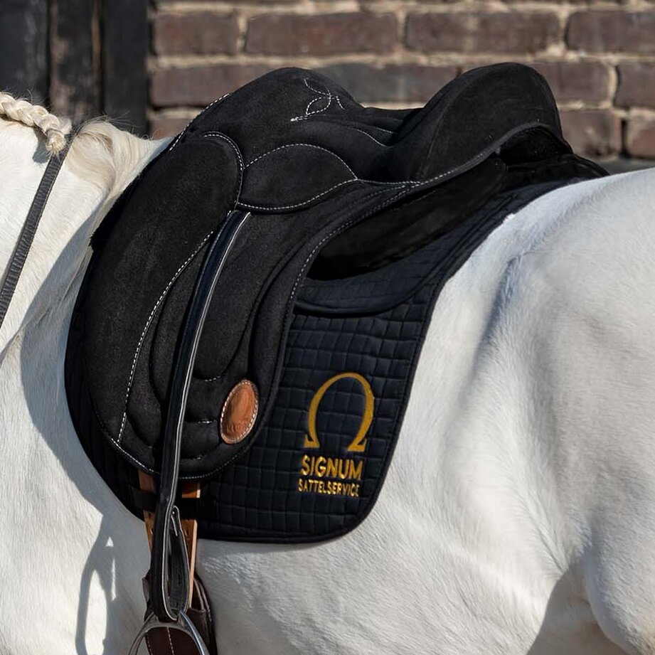 PADDLE Innovationspreis - Signum Sattelservice