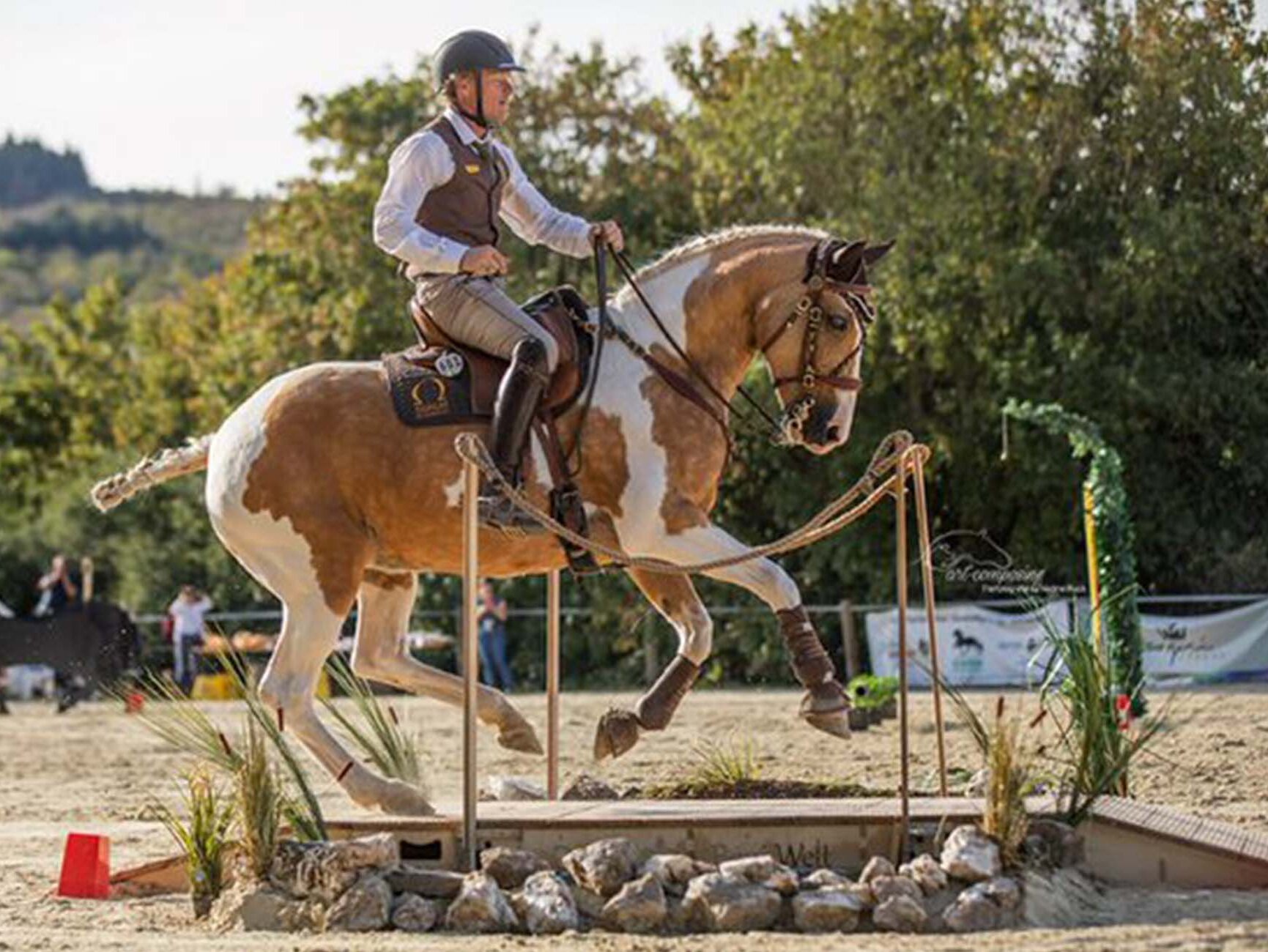 Working Equitation - Signum Sattelservice