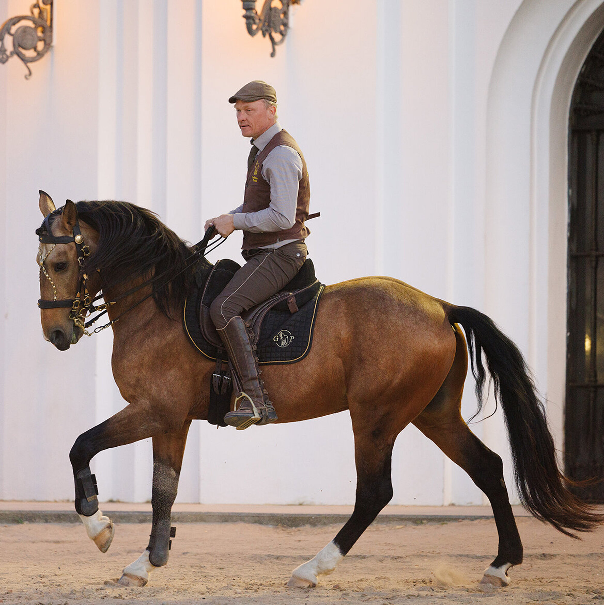 Das neue Worker Paddle - Signum Sattelservice