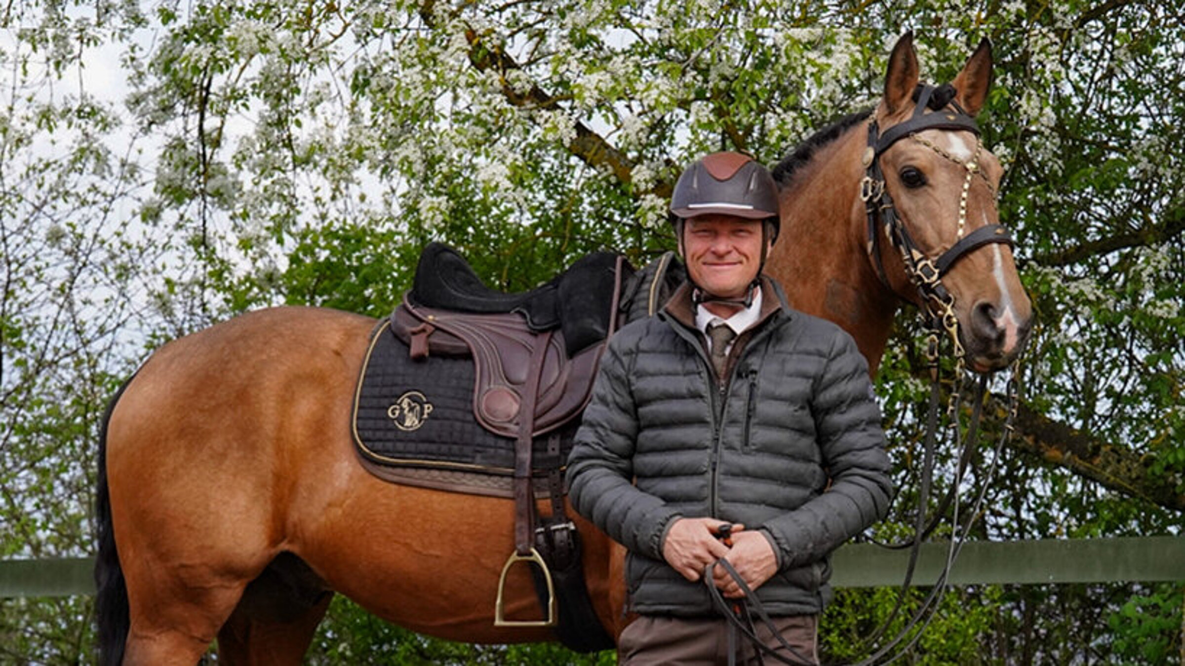 PADDLE & REITPADS - Signum Sattelservice