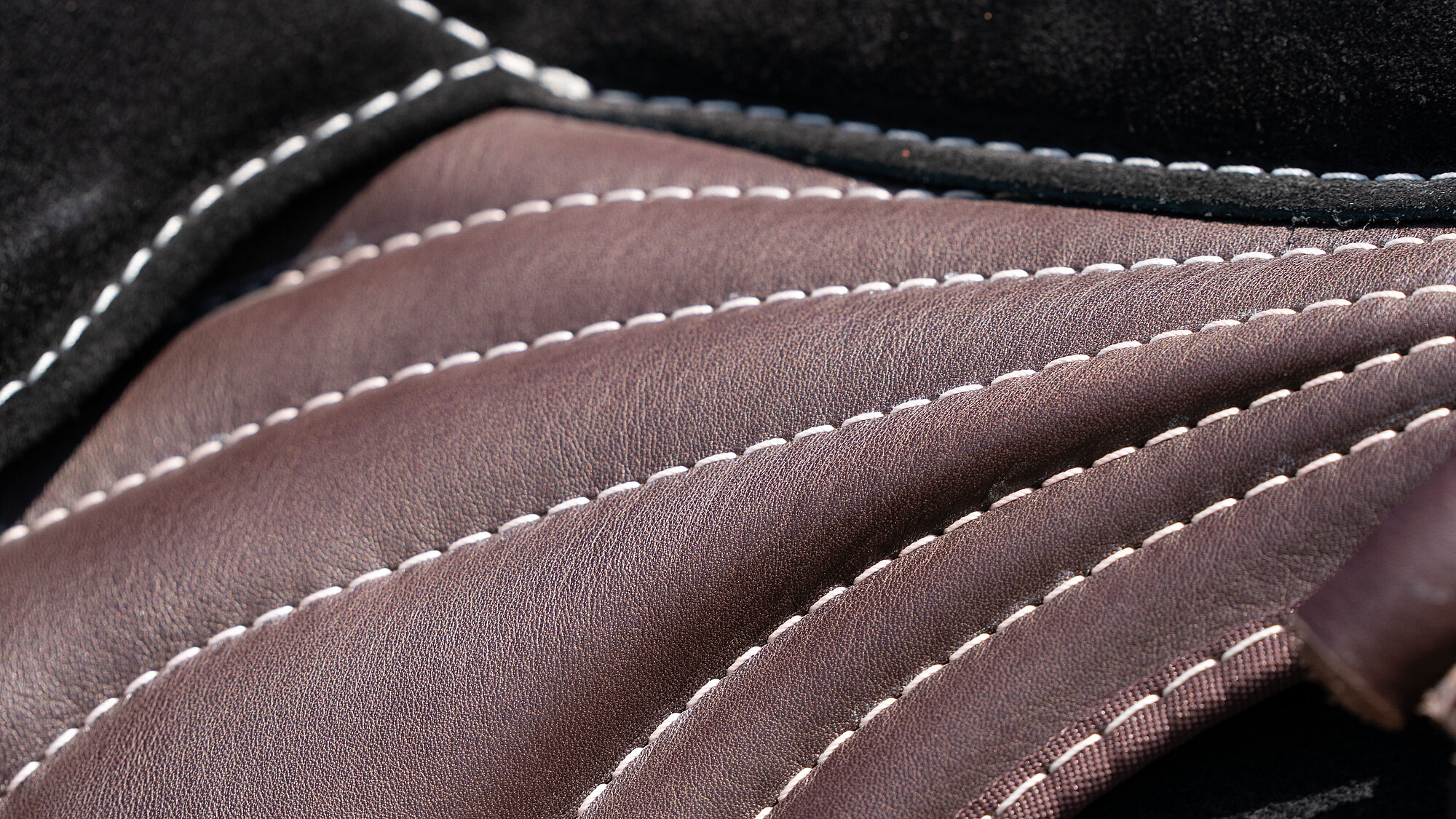 Reitpad & Paddle Konfigurator - Signum Sattelservice