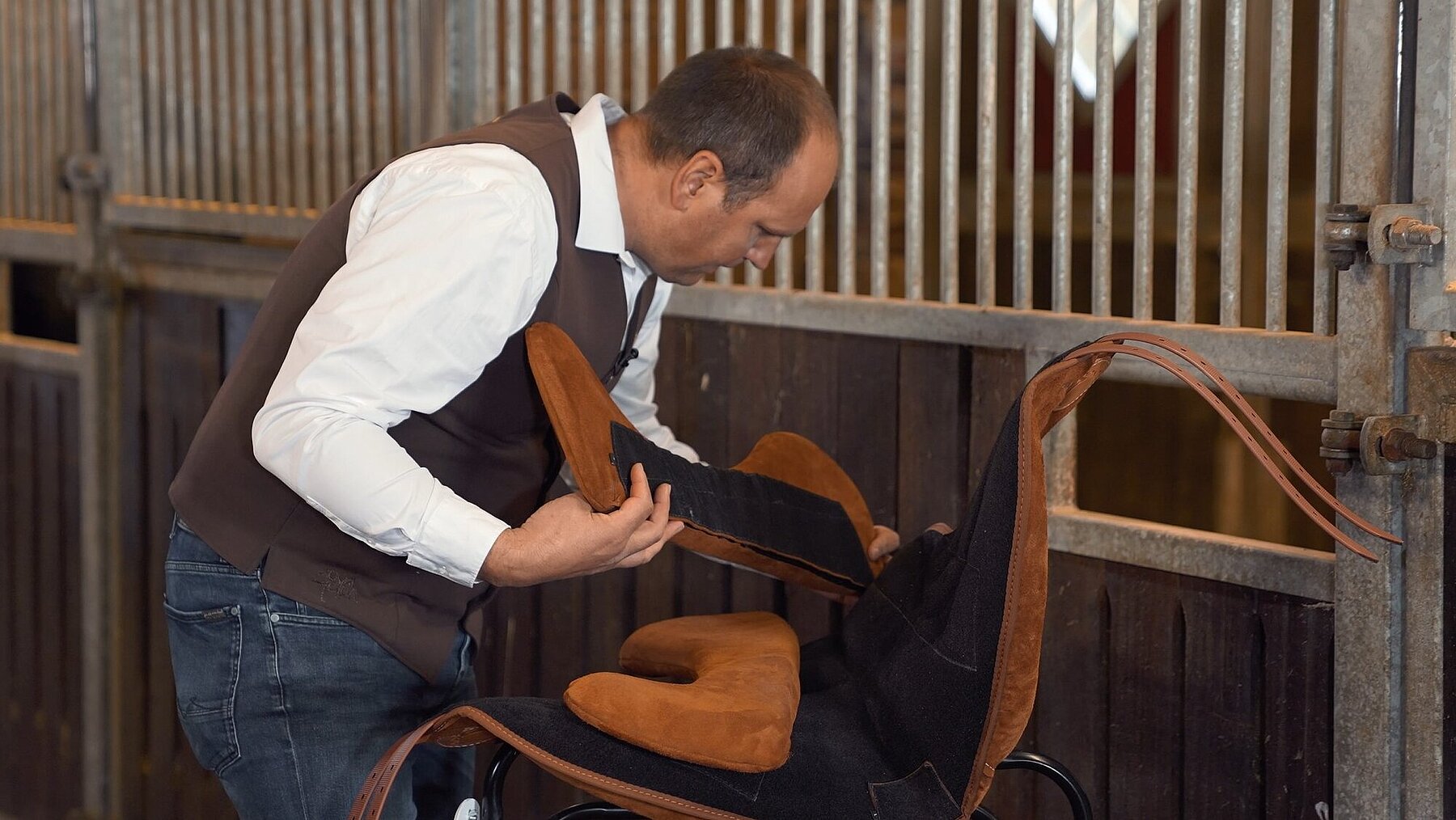 PADDLE & REITPADS - Signum Sattelservice