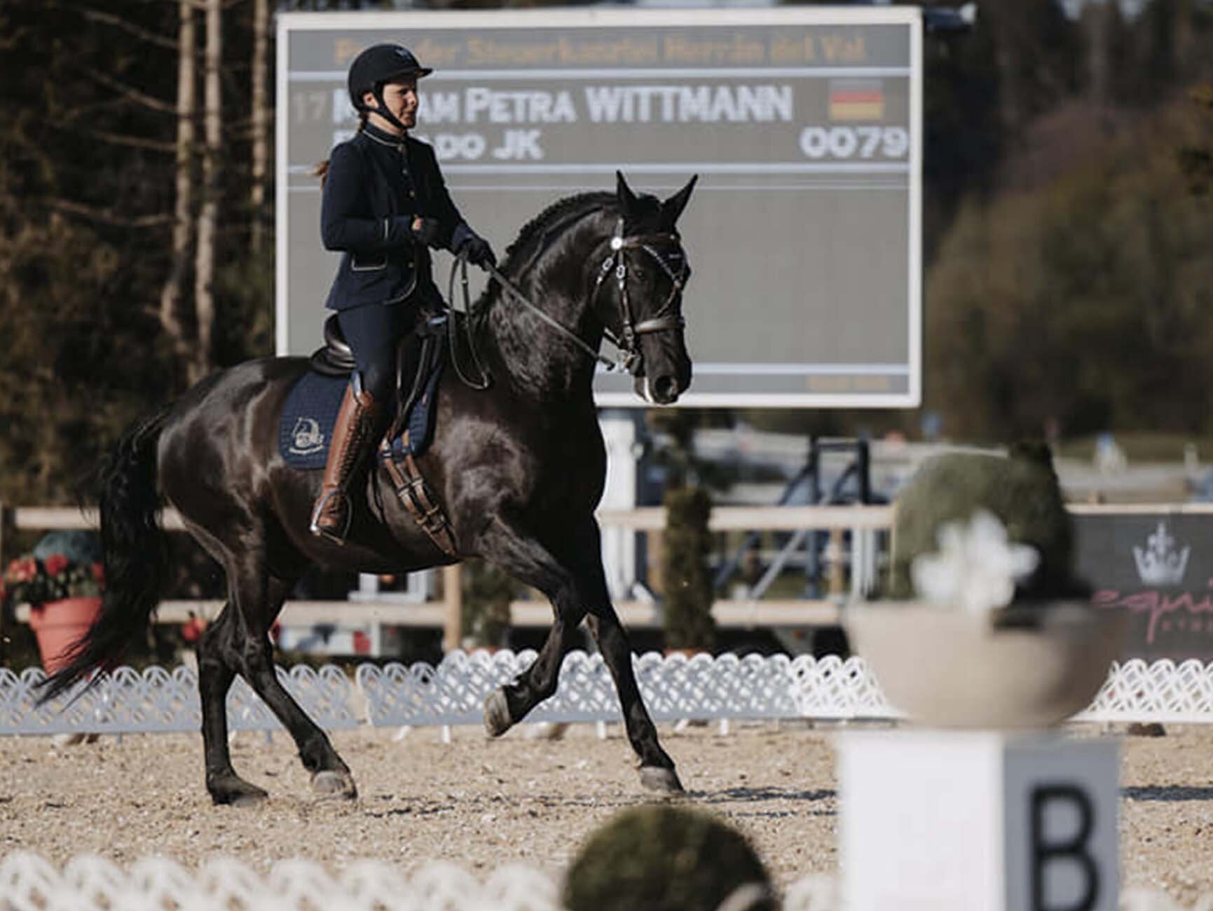 Working Equitation - Signum Sattelservice