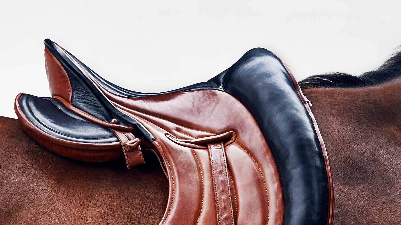 Sättel für unterschiedliche Pferdetypen - Signum Sattelservice