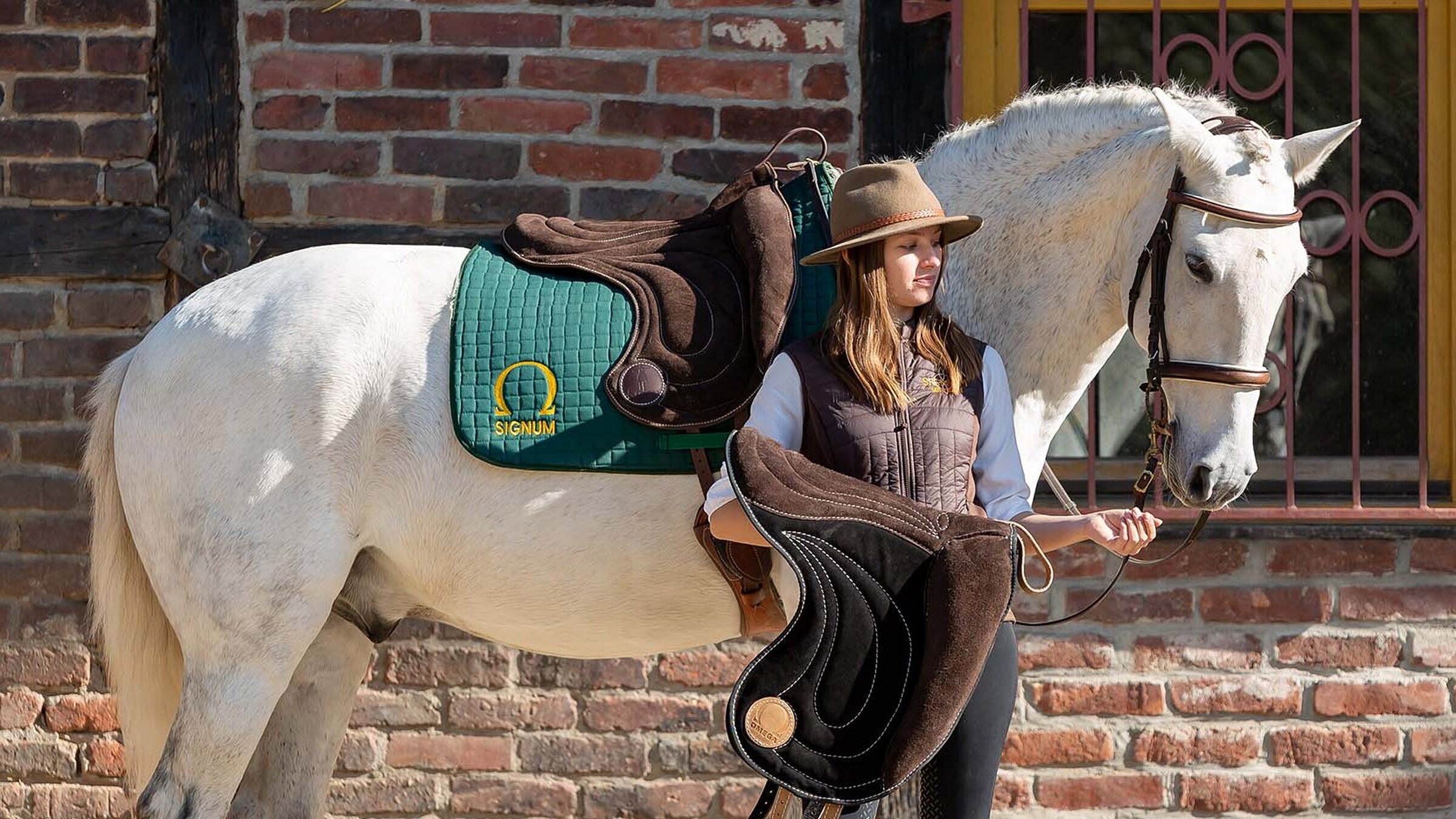 PADDLE & REITPADS - Signum Sattelservice