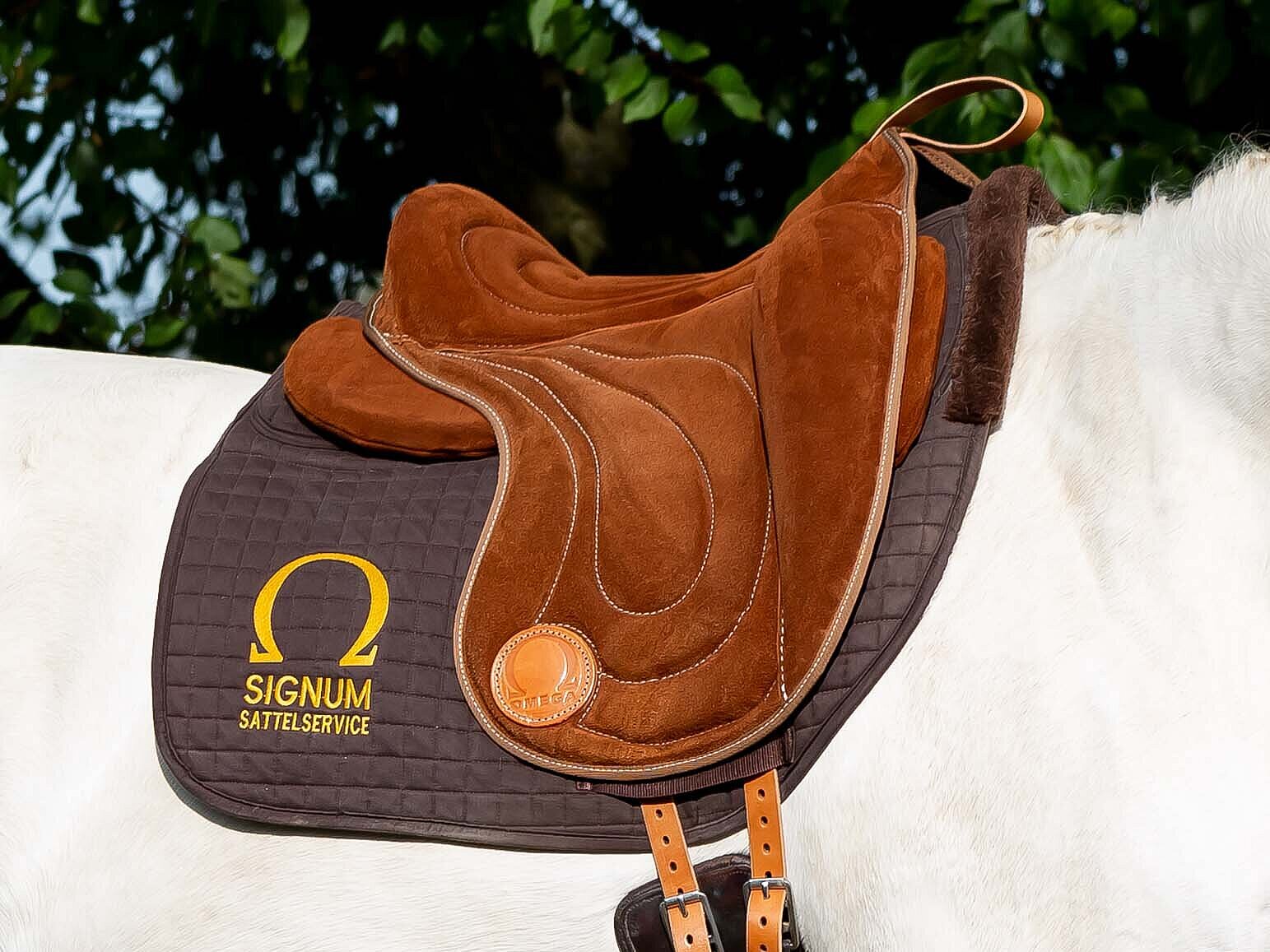 PADDLE & Reitpads - Signum Sattelservice