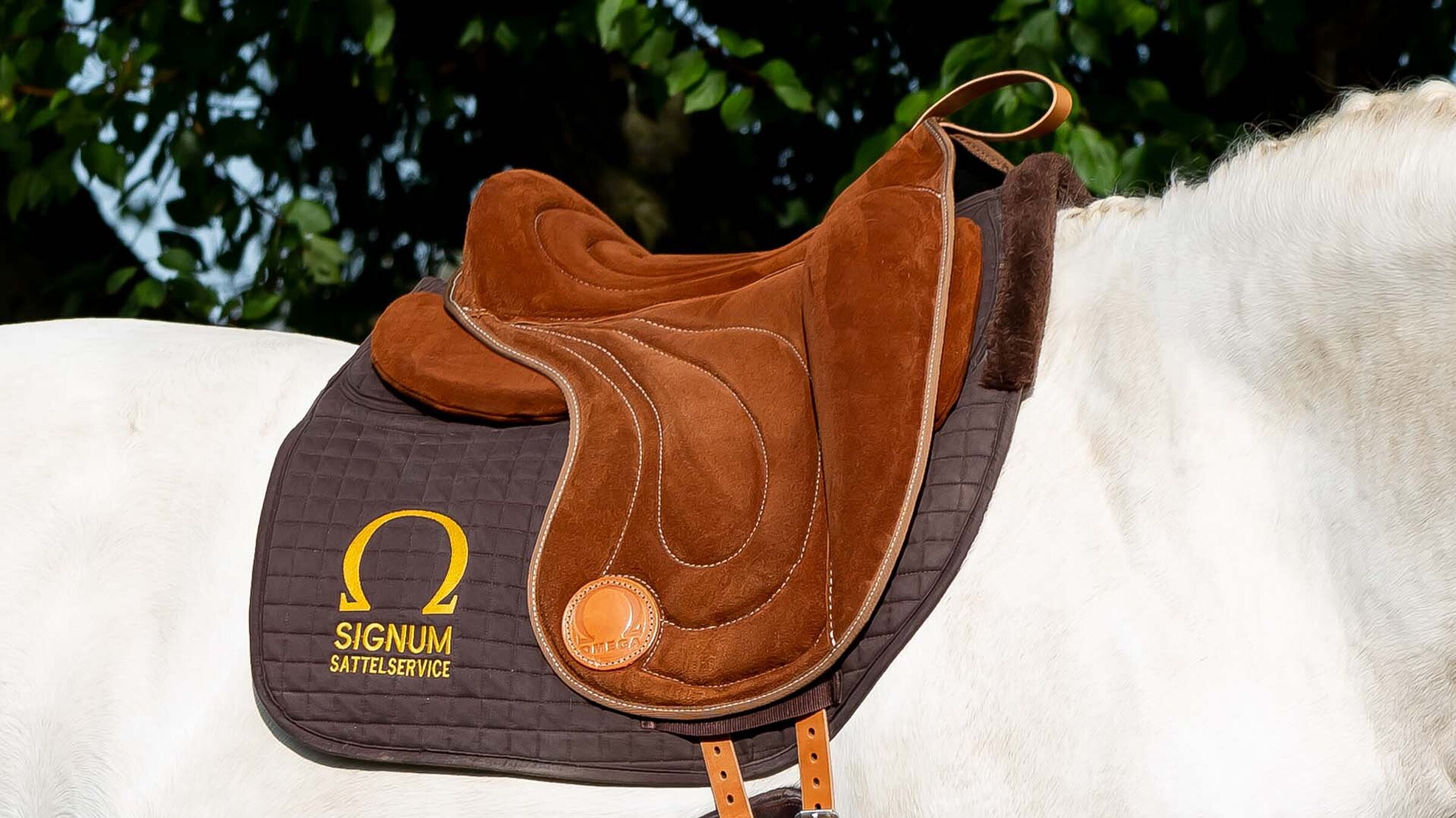 PADDLE & REITPADS - Signum Sattelservice