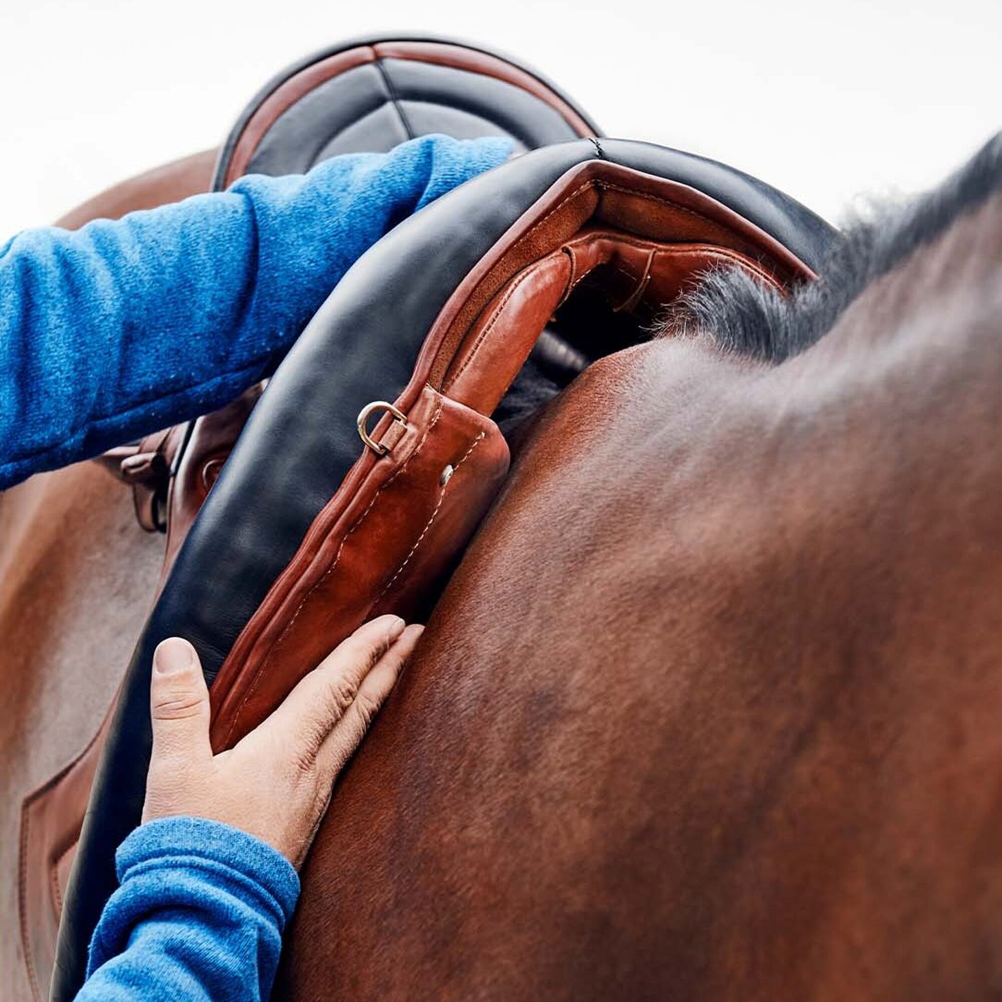 Sättel mit großer Auflagefläche - Signum Sattelservice