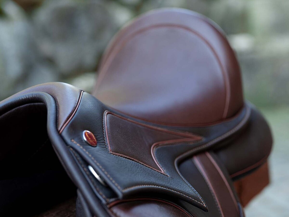 Baumloser Sattel - Signum Sattelservice