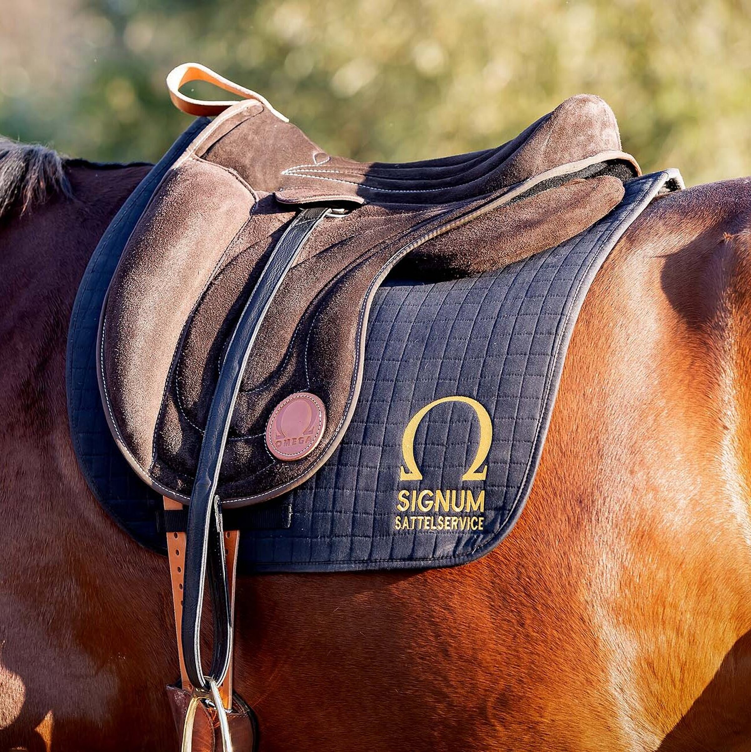 PADDLE Innovationspreis - Signum Sattelservice