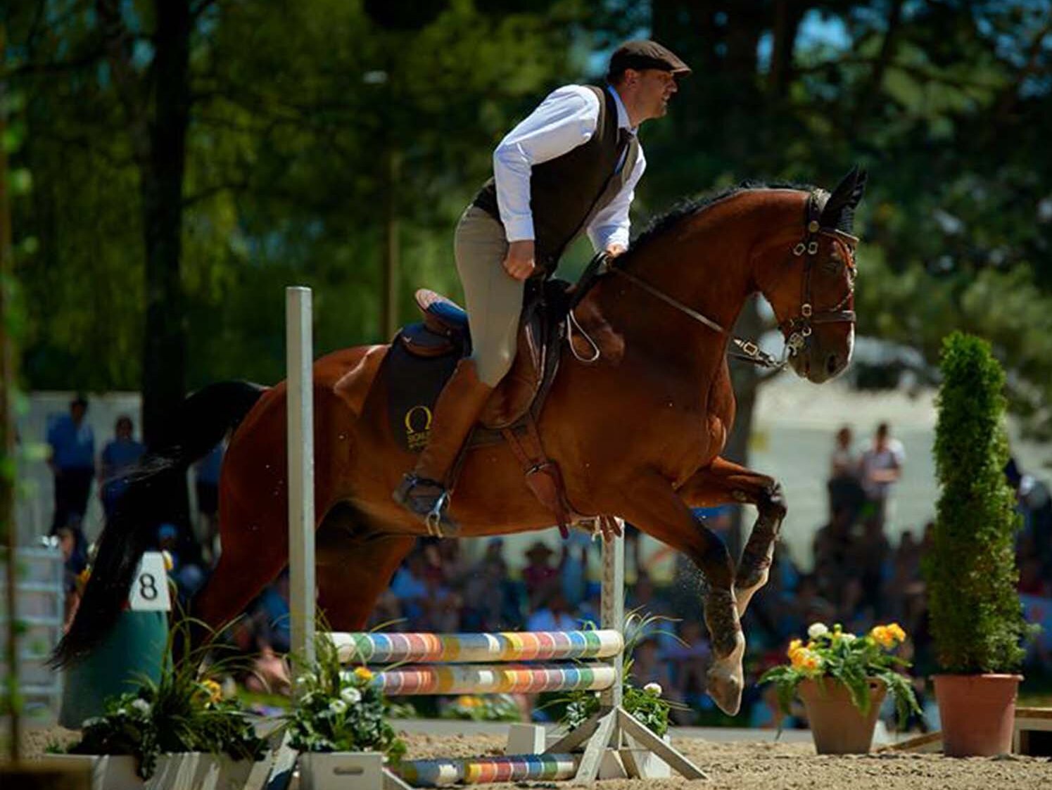 Working Equitation - Signum Sattelservice