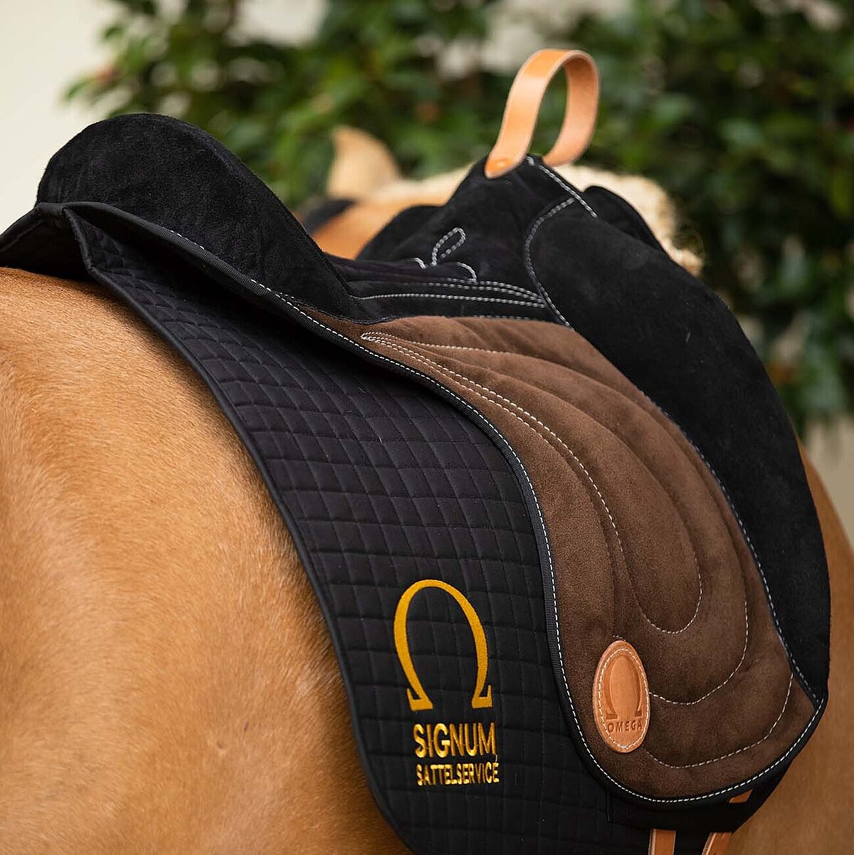 Signum Sättel - Signum Sattelservice